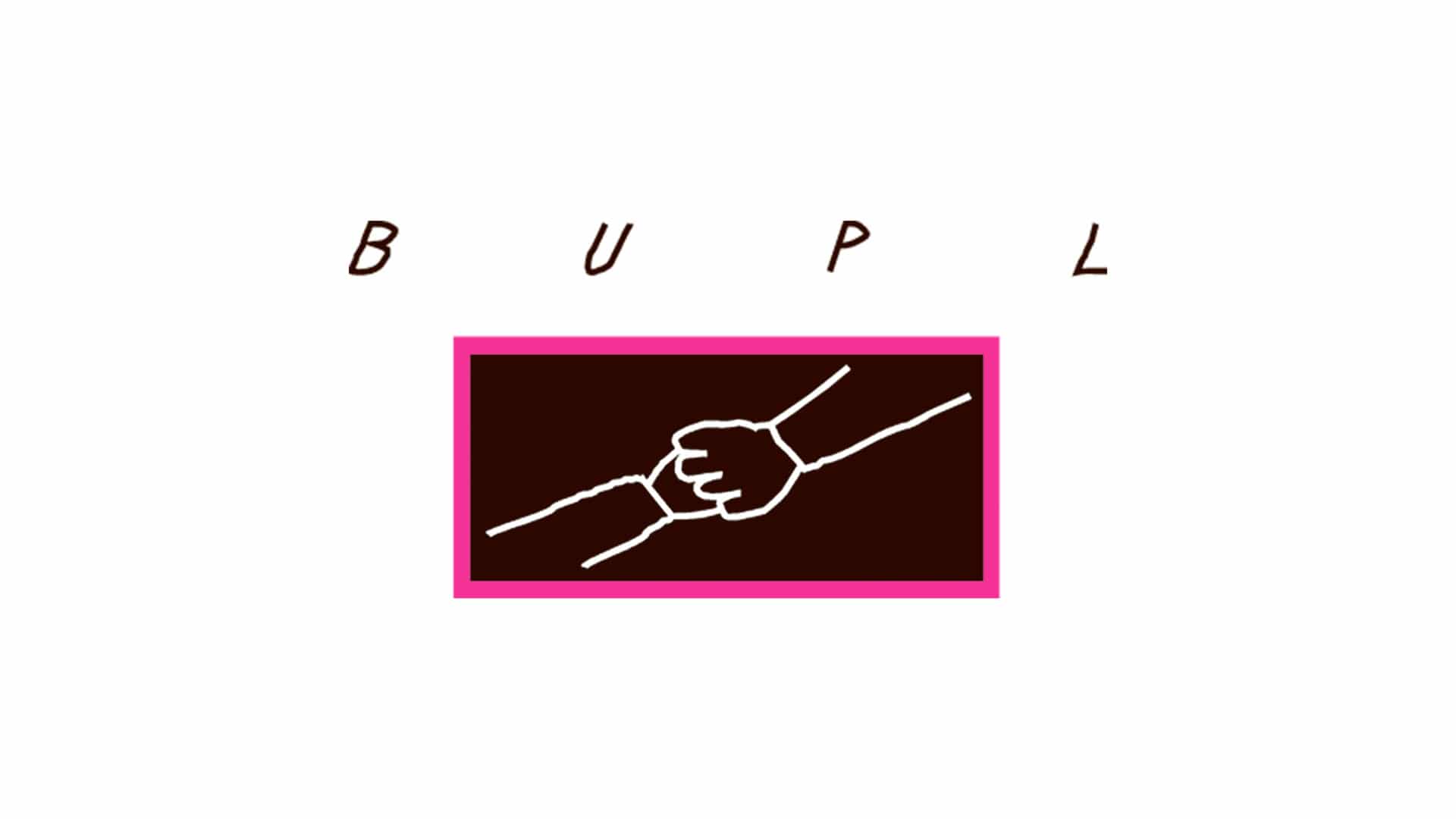 BUPL - Brugervenlige og sikker hjemmeside | Twentyfour